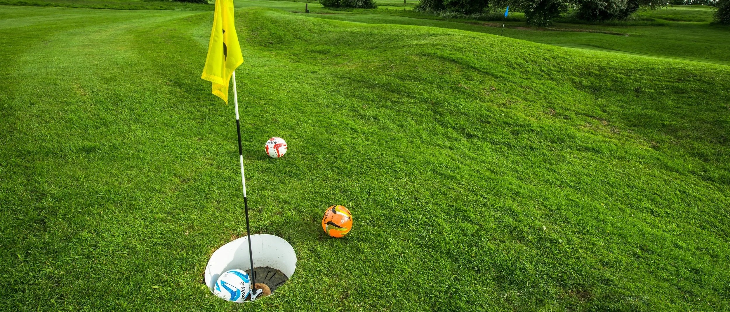 Homepage - Vitense Golfland